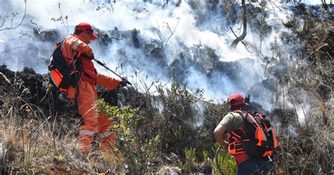 Incendio Forestal En Apurímac Aumentaron A Cinco Los Fallecidos Por