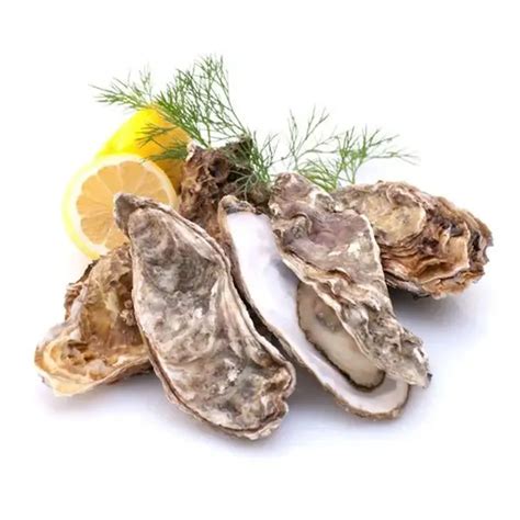 Oyster Peptide In Depth Analysis
