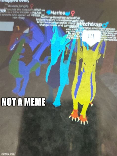 Imgflip