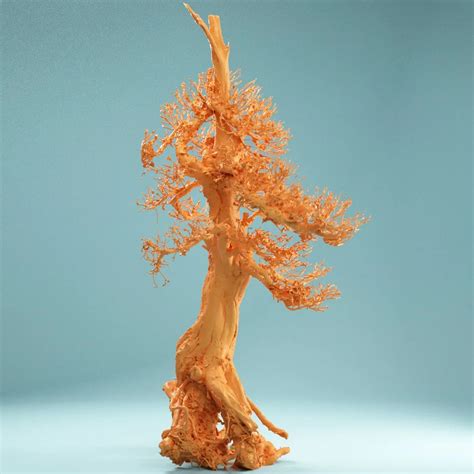 Raw Scan Dead Bonsai Tree 5 Flippednormals