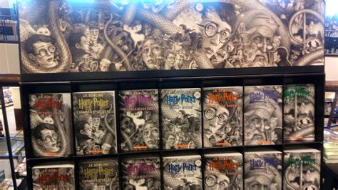 Underground Fossils Seen From A Side View With Colored Text Labeling