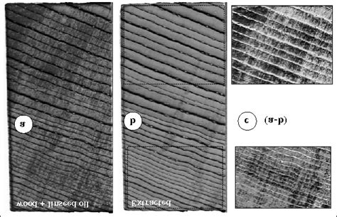 Itrax Density Pictures Before A And After Extraction Of Linseed Oil