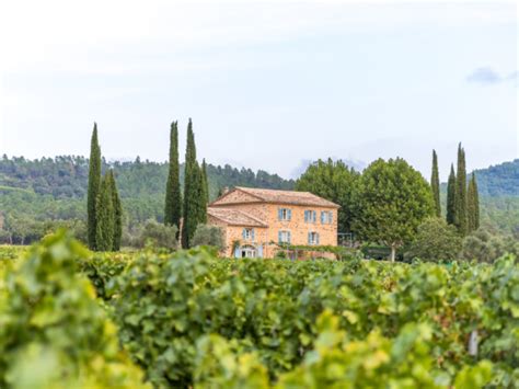 Maison Mirabeau Rosé For Any And All Days Winebow
