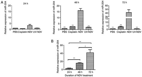 mir 204 expression levels in ndv stimulated a549 cells in vitro a