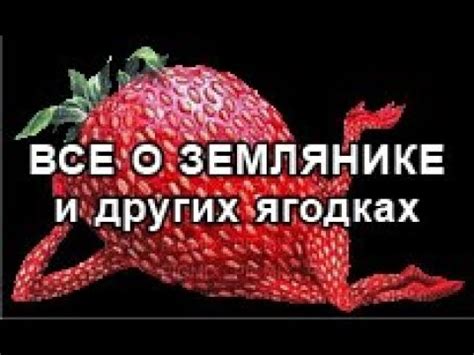 Подкормка земляники весь сезон. - YouTube
