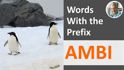 The Meaning Of Prefix Hyper 4 Illustrated Examples