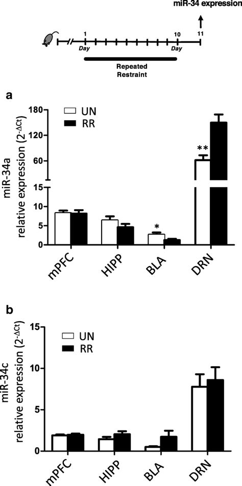 Chronic Stress Exposure Alters The Relative Expression Of Mir 34a In