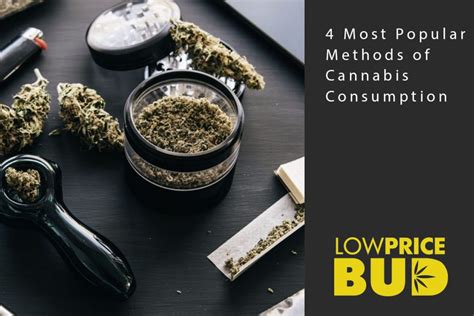 4 Most Popular Methods Of Cannabis Consumption Low Price Bud