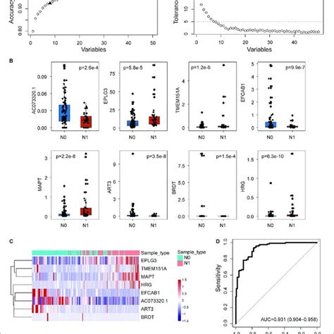 Development Of The Coding Non Coding RNA Signature In The Discovery Download Scientific