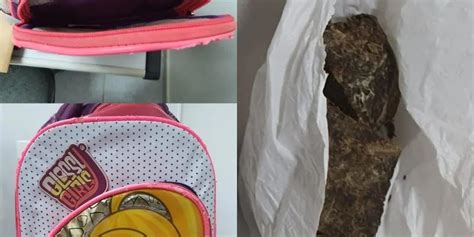 Funcionária De Escola Encontra Droga Dentro De Mochila De Criança Em