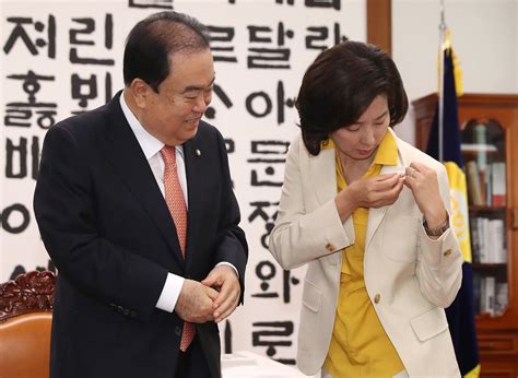 포토사오정 여성용 국회의원 배지 선물 받은 나경원
