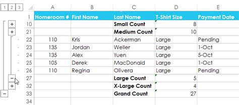Excel 2013 Groups And Subtotals