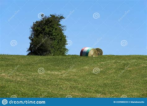 Landscape Stock Image Image Of Straw Nature Pass 222980233
