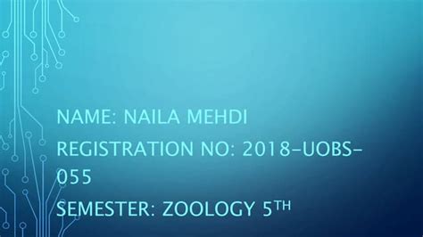 Intracellular And Extracellular Electrolytes Buffer Solution And