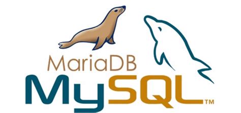 如何重置 Mysql 或 Mariadb 的 Root 密码 知乎