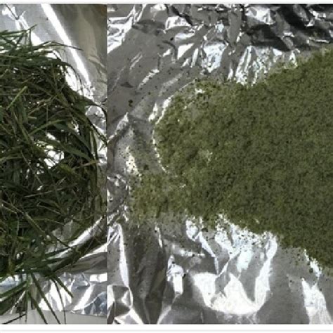 Pasture Sample From 25 25 Cm 2 Quadrant Left Homogenized Sample In