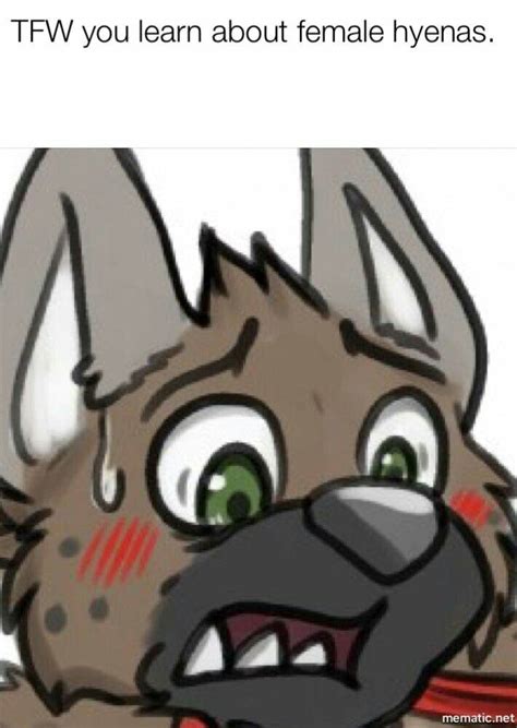 Pin On Furries Owo