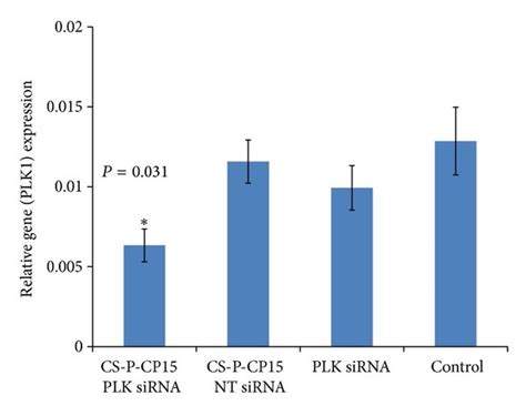 Quantitative Plk1 Mrna Analysis In The Tumor Tissue The Graph Download Scientific Diagram