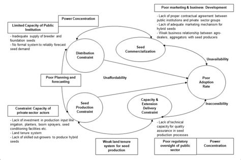 Maize Seed Value Chain Constraints Download Scientific Diagram
