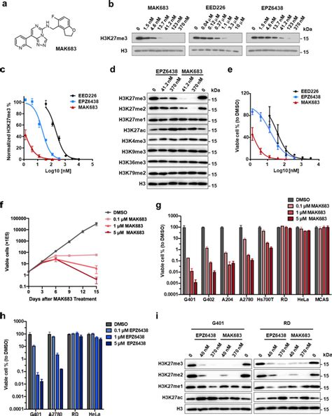 Induction Of Senescence Associated Secretory Phenotype Underlies The
