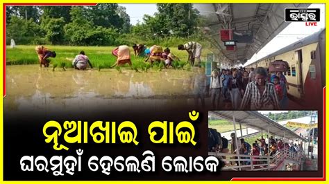 ପଶ୍ଚିମ ଓଡ଼ିଶାର ଗଣପର୍ବ ନୂଆଁଖାଇ ପାଇଁ ଘରମୁଁହା ହୋଇଛନ୍ତି ରାଜ୍ୟ ତଥା ଦେଶର