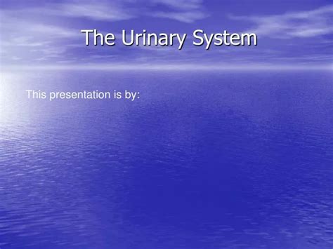Ppt The Urinary System Powerpoint Presentation Free Download Id