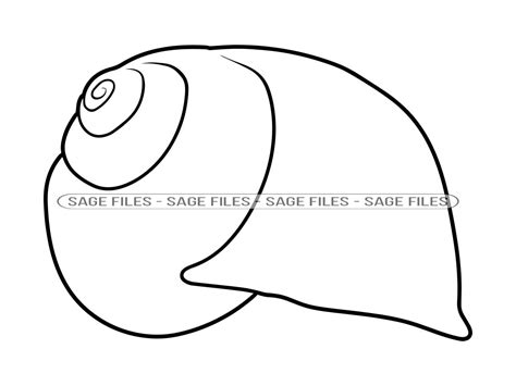 Snail Shell Outline
