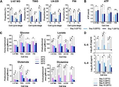 Effects Of Hypothermia On Tumor Cell Cycle Metabolism And Cytokine