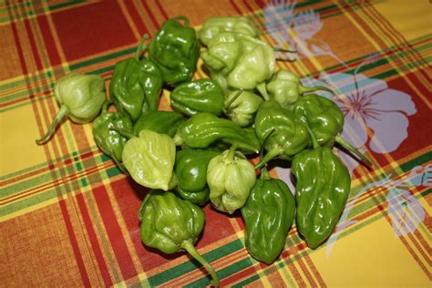 Piments Antillais