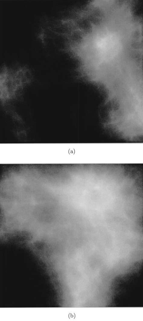 Examples Of Two Dimensional Clustered Lumpy Objects With Different