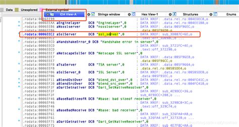 安卓 flutter app证书绑定校验抓包绕过 frida hook flutter csdn博客