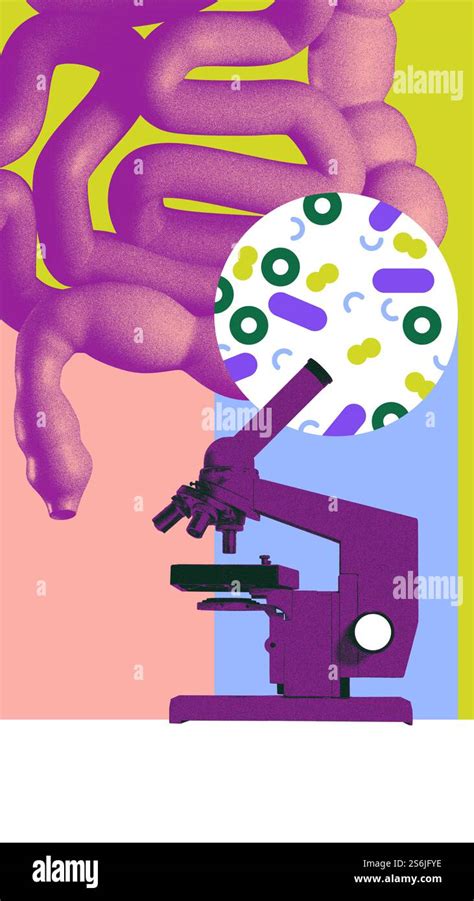 Abstract Illustration Of Intestines With Microscope And Magnified