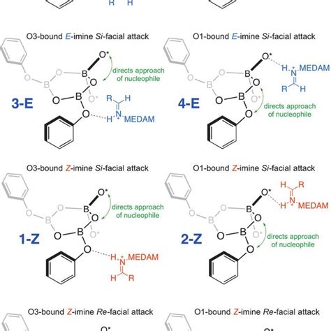 Imine Binding Modes And Systematic Approach To Predict Origin Of