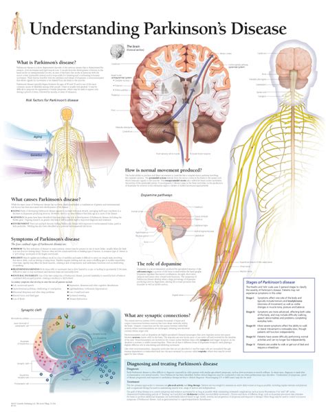 Understanding Parkinsons Disease Scientific Publishing