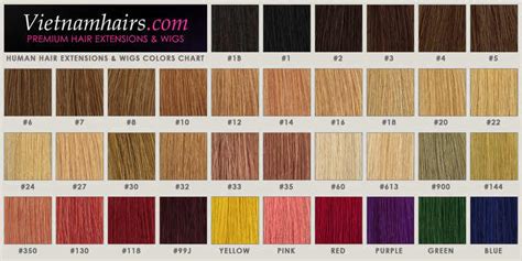 Premium Quality Genius Weft Hair Extension 100 Vietnamese Human Hair