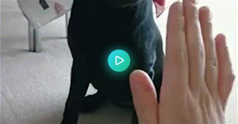 High Five  On Imgur