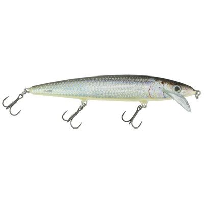 Salmo Whacky 12 | FishUSA