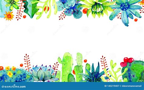 Marco Rectangular Con Los Diversos Cactus Y Succulents En Superior E