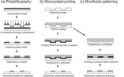 Figure 1 From Recent Advances In Cell Micropatterning Techniques For