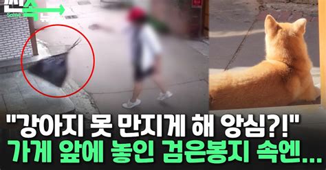 씬속뉴스 강아지 못 만지게 했다고 이러나남의 가게 앞 투척한 검은 봉지 속엔