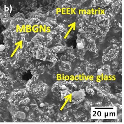 A As Synthesised Mesoporous Bioactive Glass Nanoparticles Mbgns B
