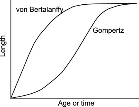 Theoretical Growth Curves Generated From The Von Bertalanffy And Download Scientific Diagram