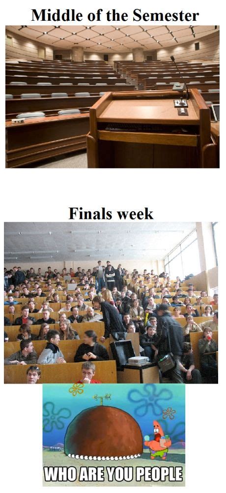 100 College Humor Ideas In 2021 College Humor Humor Bones Funny