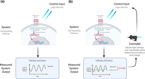 Open And Closed Loop Approaches For Optogenetics A Open Loop Download Scientific Diagram