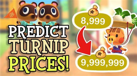 Turnip Calculator