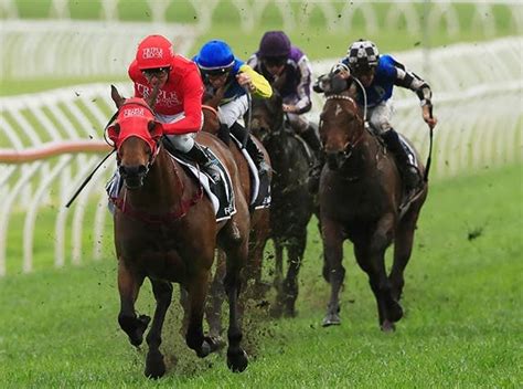 レッドゼルがジ・エベレスト連覇！ 日本産ブレイブスマッシュは8着 Jra Van World 海外競馬情報サイト