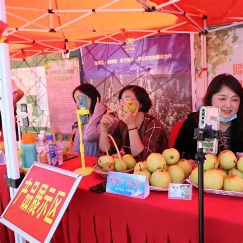 柴胡店镇刘村酥梨采摘节暨2022信华集团公益助农启动仪式隆重举行滕州市梨园开幕式
