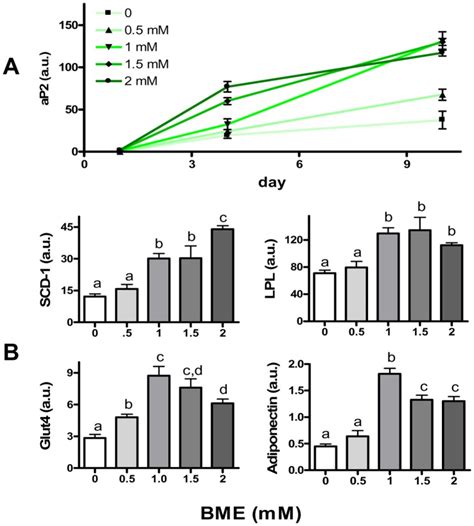 A The Time Course Of Ap2 Mrna Expression In F442a Cells After Being