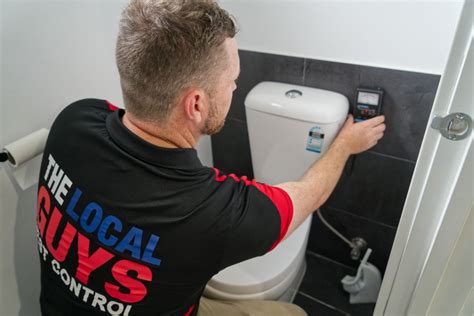 Pest Control Box Hill 13 11 05 The Local Guys