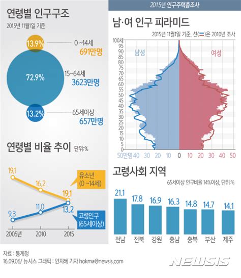 2015 인구주택총조사 그래픽 연령별 인구 비율